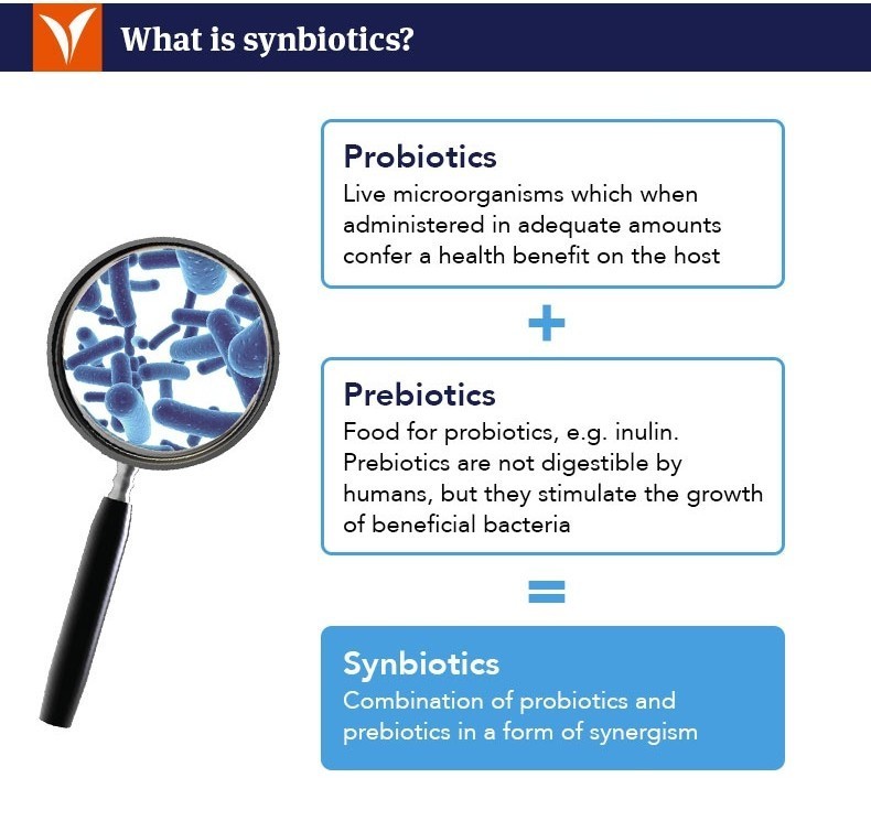 Probiotic 6+Inulin [EXP 05-2026/03-2026] - 10 billion CFU probiotics ...