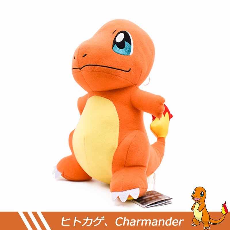 Pokemon Standing Charizard Charizard Charizard Charizard Evolution ...