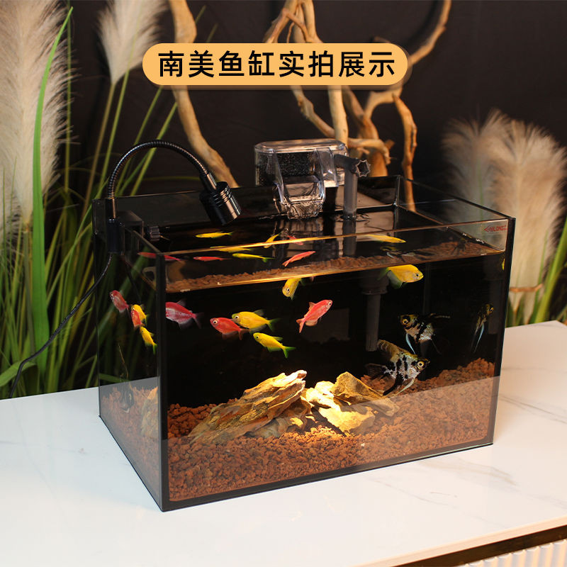 1 Xilong South America Native Stream Tank Ultra-white Glass Fish Tank ...