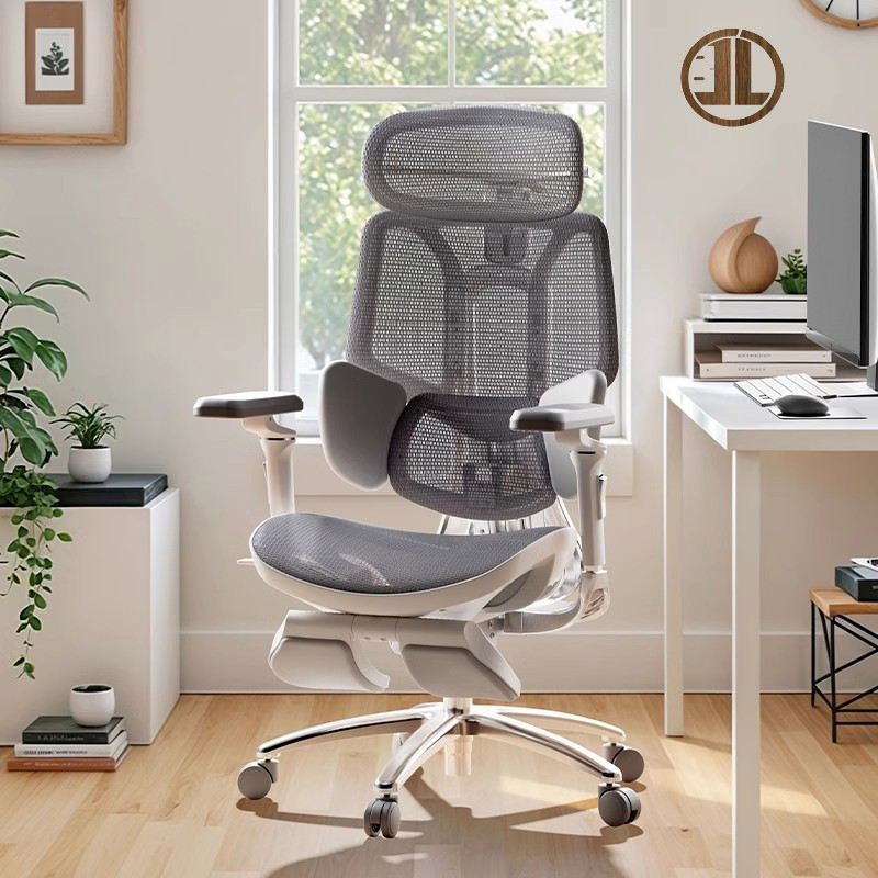 OX Ergonomic Chair Black & White E3 Structural Master Pro Ergonomic ...