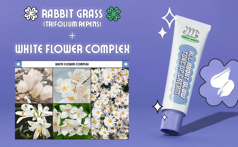 CHASIN' RABBITS All About Glow Tone Up Cream (Vegan) 50ml | Shopee ...