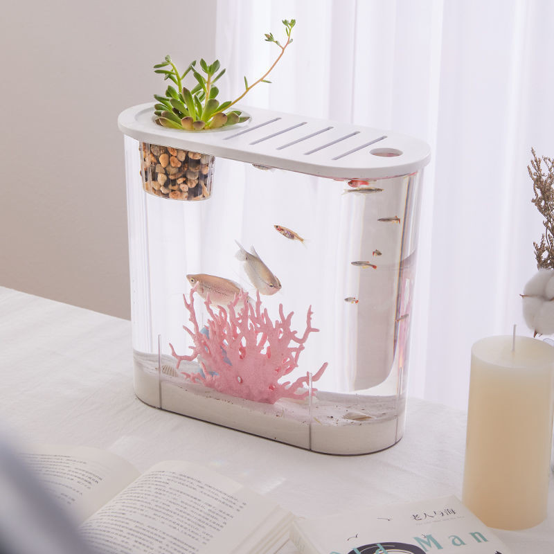 Transparent Imitation Glass Household Plastic Fish Tank, Small Living ...
