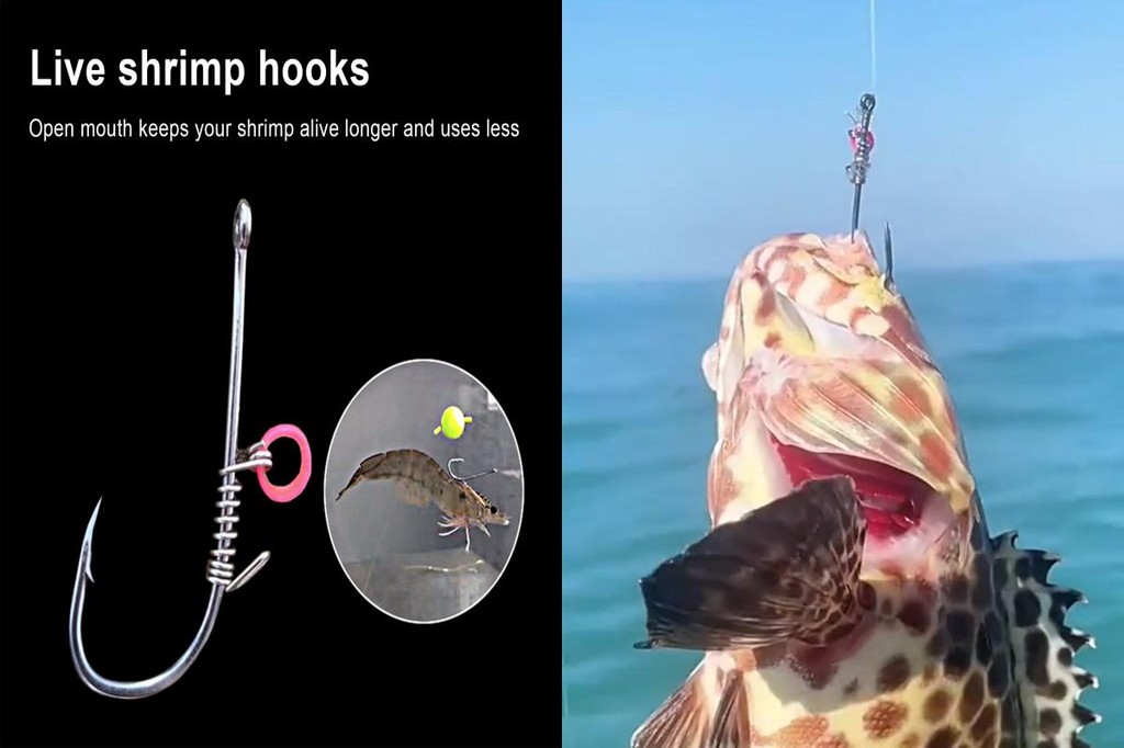 Heavy Duty Fishing Hook Metal Fish Hook 8pcs Live Shrimp Fixing Hook ...