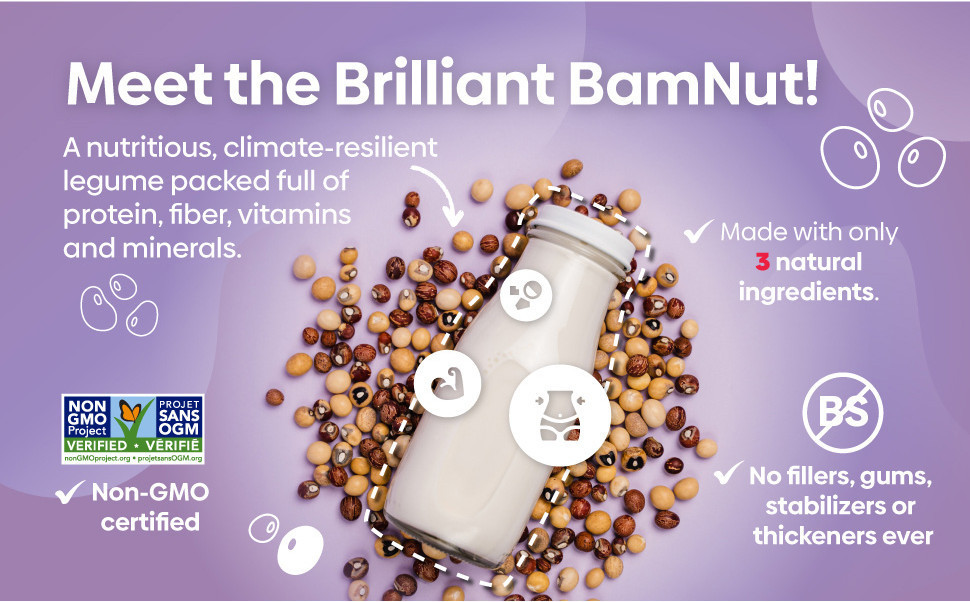 WhatIF Foods Barista Bamnut Milk, 1L (Bundle of 3) - Coffee Lover | Shopee Singapore