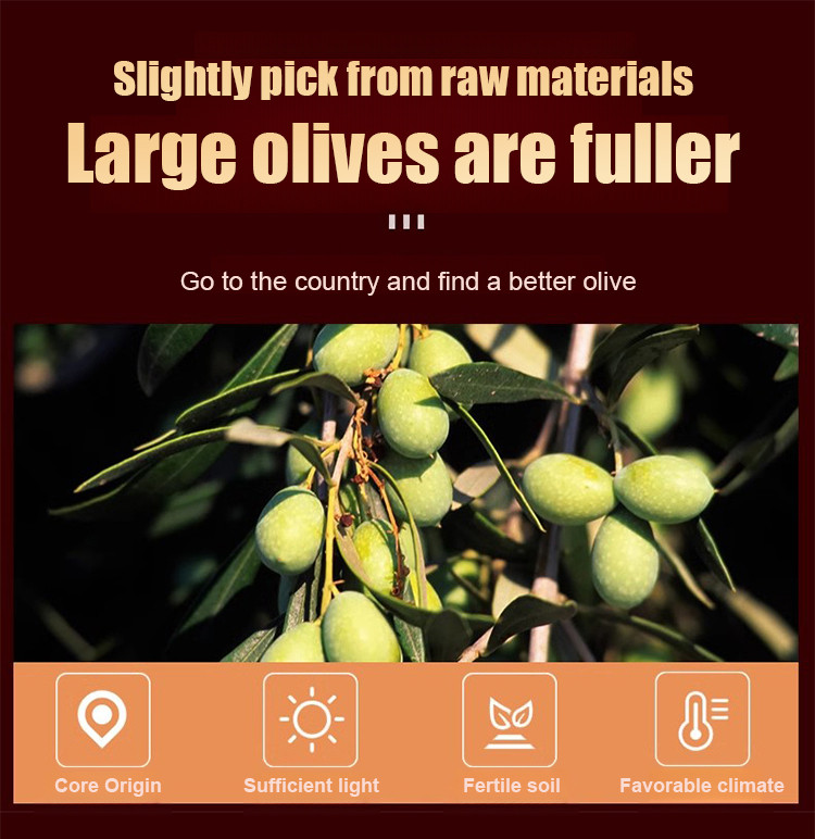 Delicious And Inexpensive Halal Dried Fruit/Pickled Copy Flat Olive ...