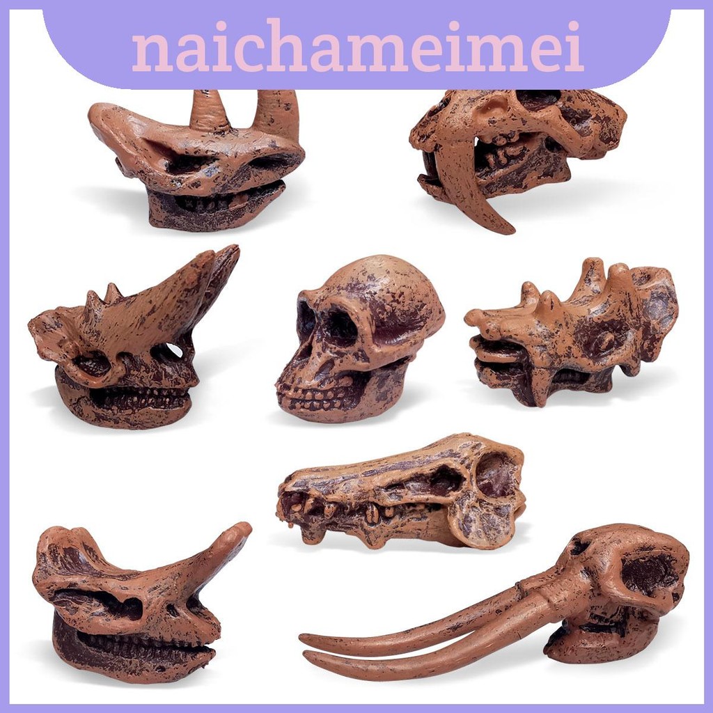 Dinosaur Static Fossil Toy Set With Triceratops And Kids Brachiosaurus ...