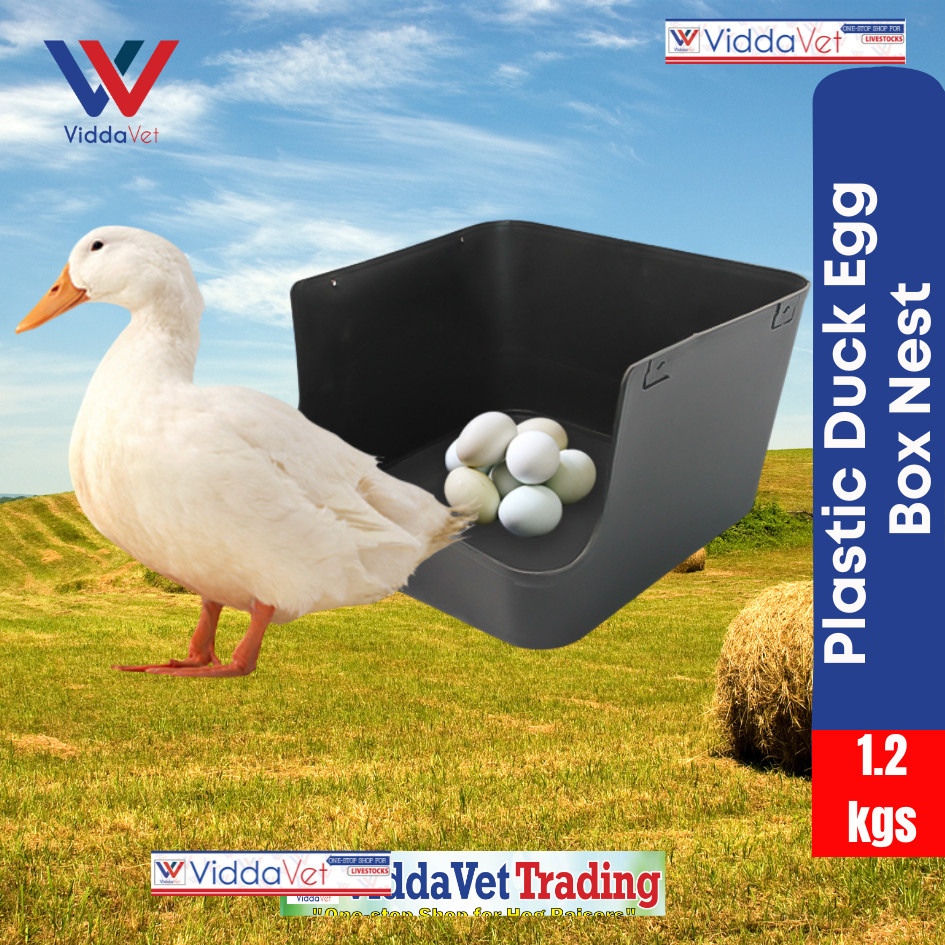 Duck Egg Laying Nest Box Egg Nest Box for Poultry Farms duck laying ...