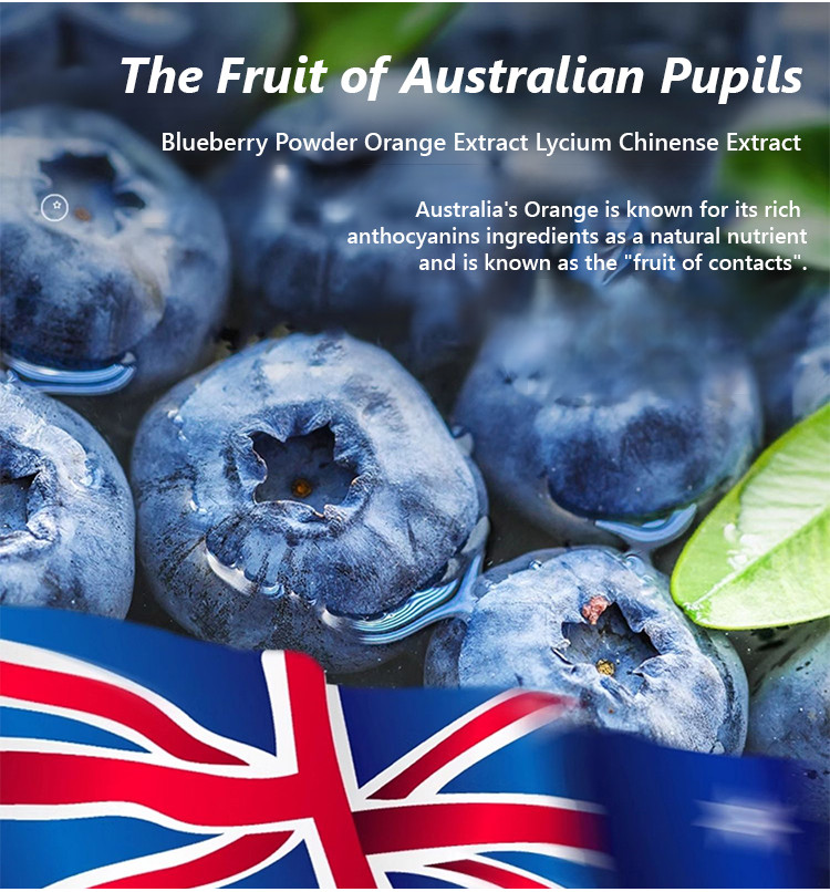 【Buy 1 Free 1】Blueberry Lutein Chewable Tablets/Blueberry Lutein Ester ...