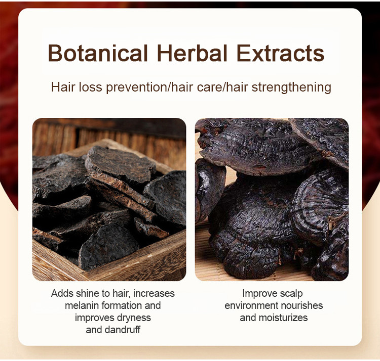 SG HOT [Grey Hair No Longer Grows] Saffron Essence Spray from White to ...