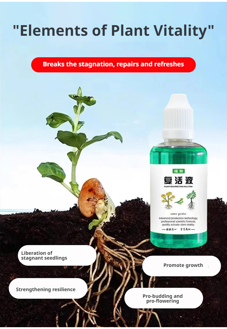 🌹SG High Quality🌹【Quick Rooting Universal Rejuvenator】[BUY1 FREE2 ...