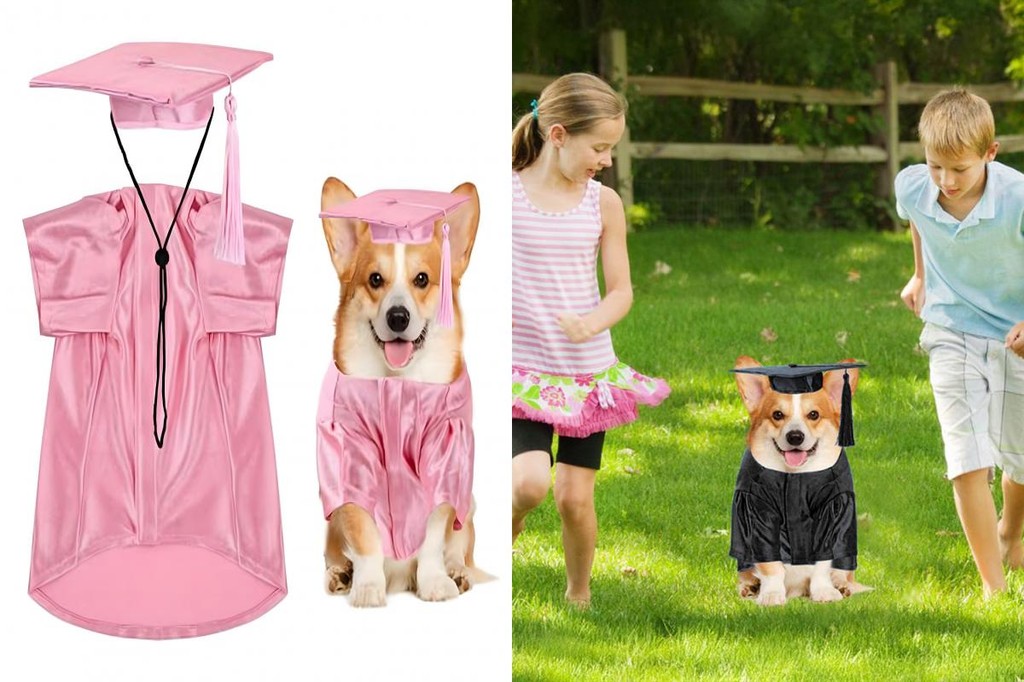 [WMP] Dog Graduation Gown Pet Graduation Cap Pet Graduation Costume Set ...