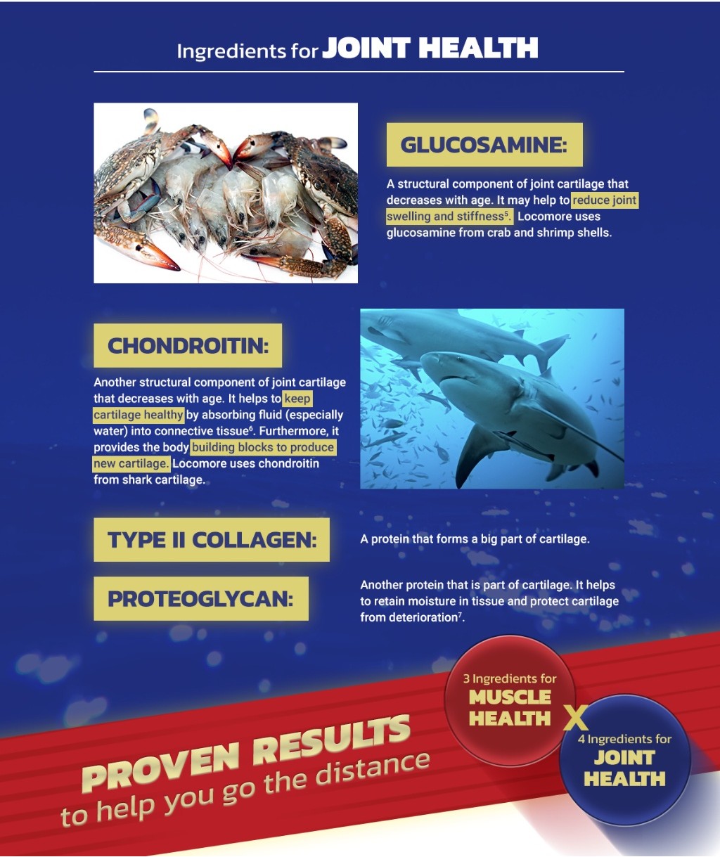 [Bundle of 2] SUNTORY Locomore 2-in-1 Formula, Joint Supplement ...