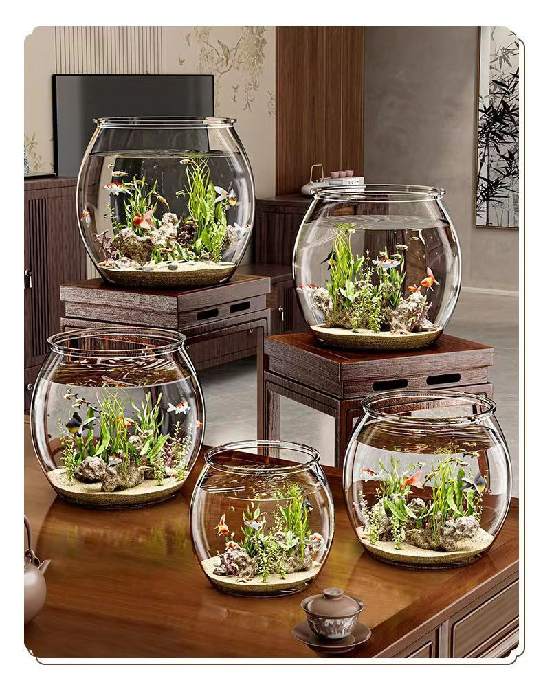 Transparent Plastic Fish Tank Household Small Imitation Glass Turtle ...