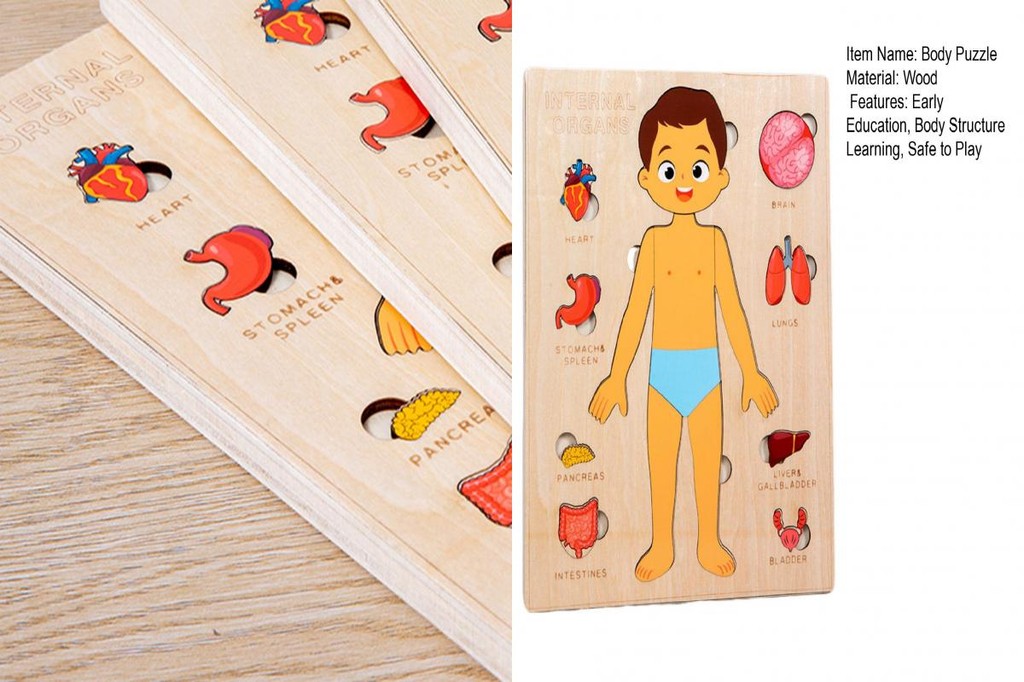 Kids Educational Puzzle Educational Anatomy Puzzle Wooden Body Puzzle ...