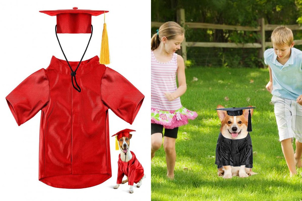 [PO] Dog Graduation Gown Elegant Dog Graduation Dress Pet Graduation ...