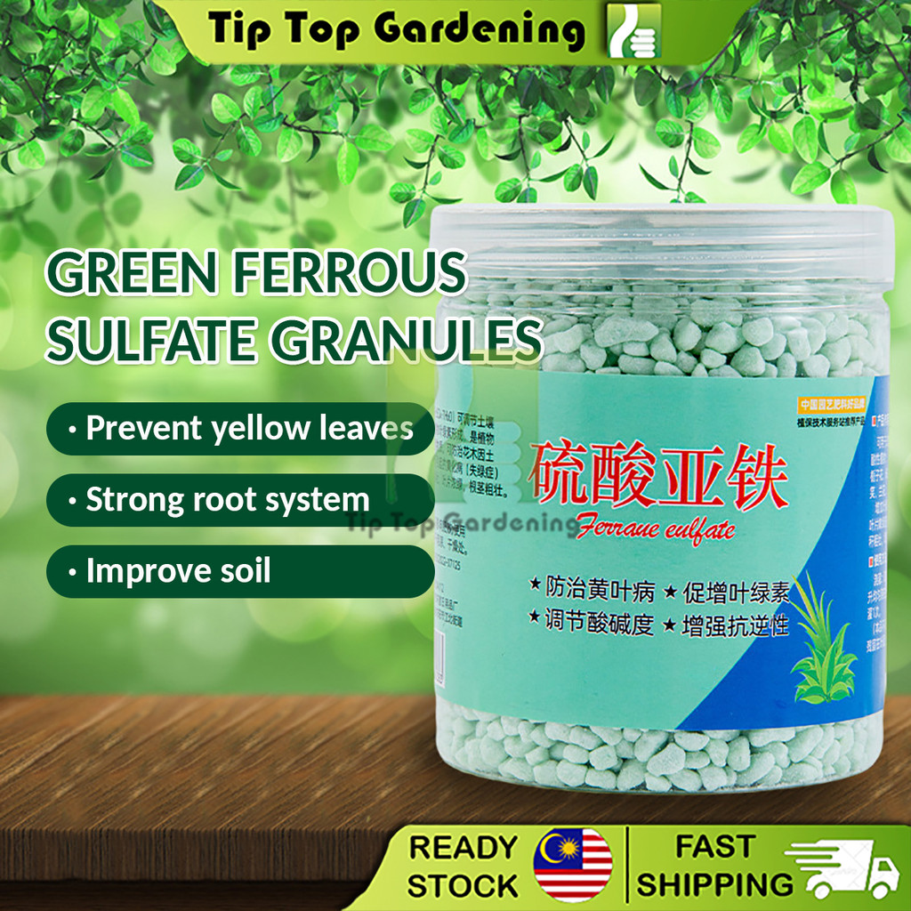 200g Green Ferrous Sulfate Granules Fertilizer Water Soluble Fertilizer ...