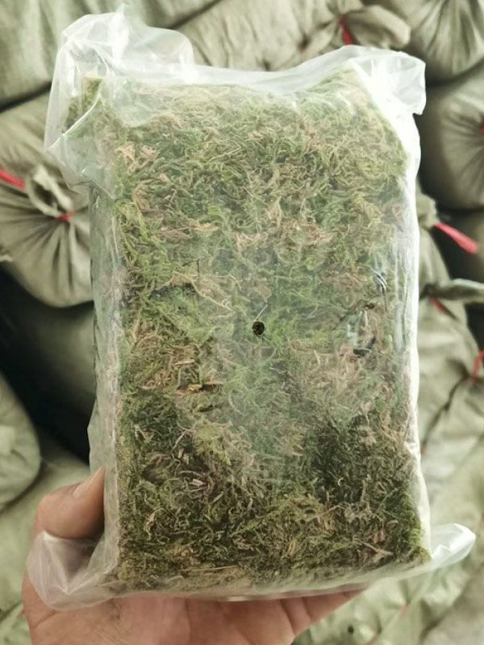 [8836Positive Review]Premium Dry Moss Natural Sphagnum Moss for ...