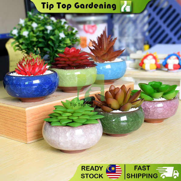 Glaze Ceramic Pot Ice-Crack Texture Succulent Cactus Flower Pot / Pasu ...
