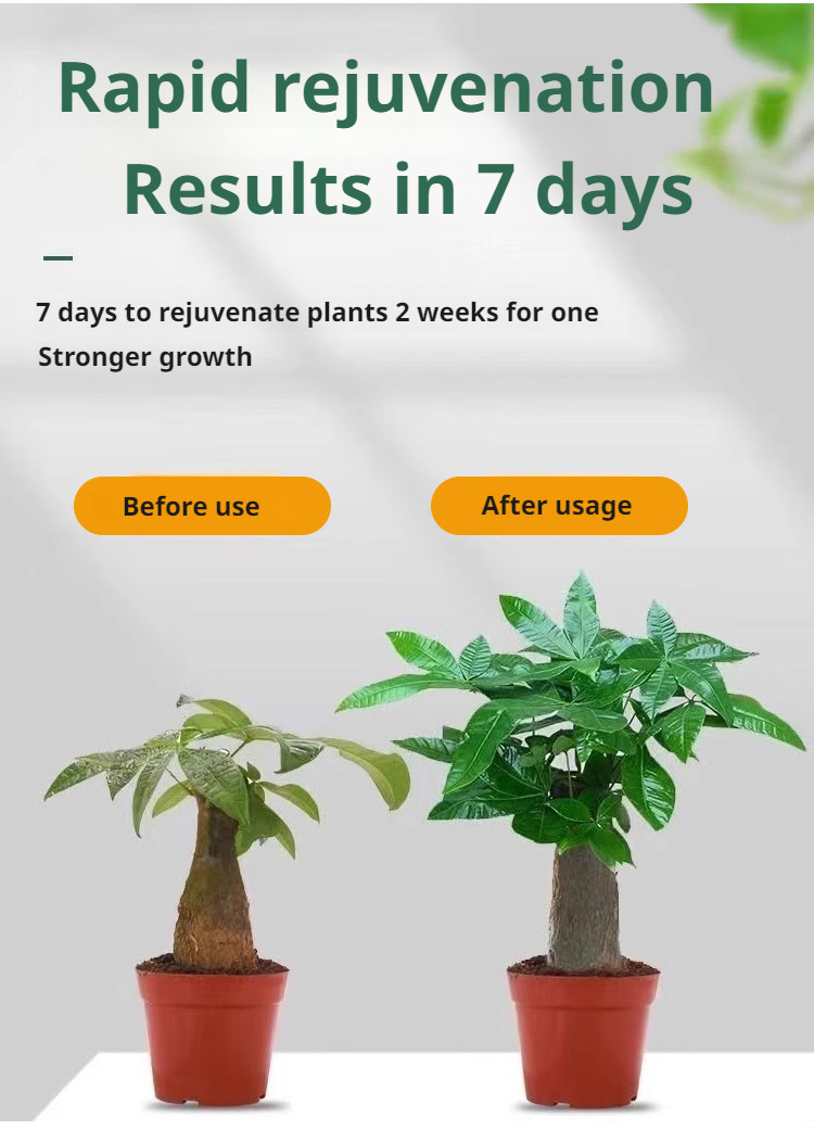 🌹SG High Quality🌹【Quick Rooting Universal Rejuvenator】[BUY1 FREE2 ...
