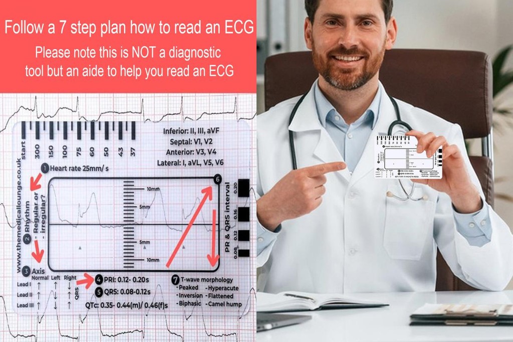 GH| Portable Ekg Ruler Portable Ekg Guide Transparent Ekg Caliper Measuring Tool Set Easy Ecg ...