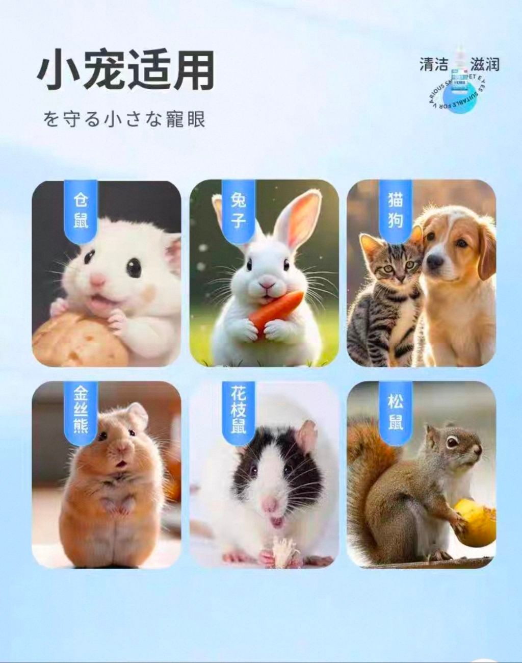 Hamster Rabbit Eye Potion Golden Bear Eye Anti-Inflammatory Dedicated ...