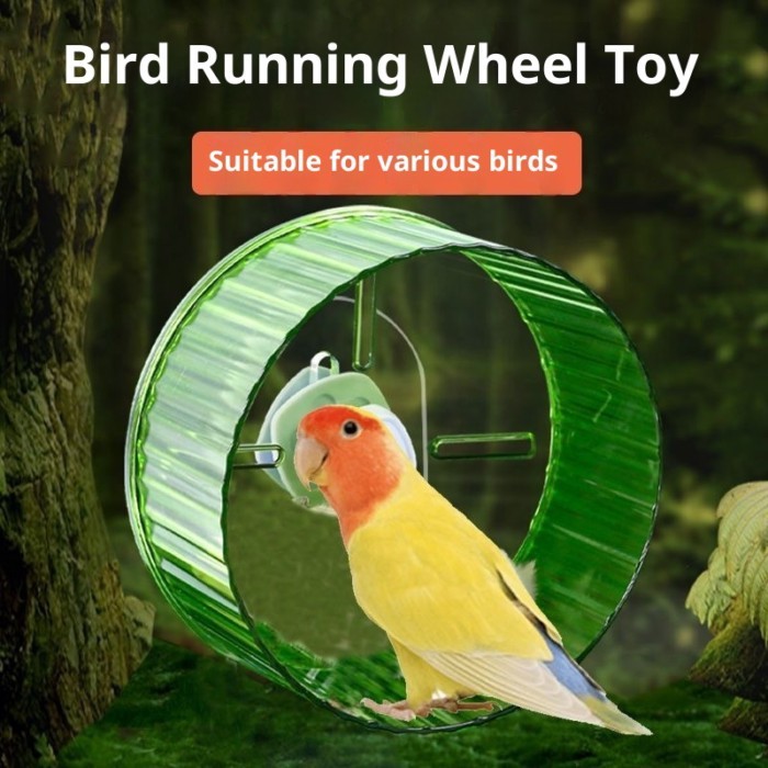 Parrot Running Wheel Toy Relieve Boredom Self-Happy Xuanfeng Peony Bird ...