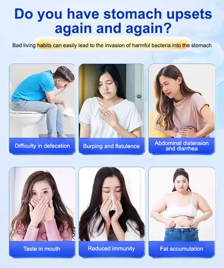 [Protect the stomach and intestines and remove bad breath] Probiotic ...