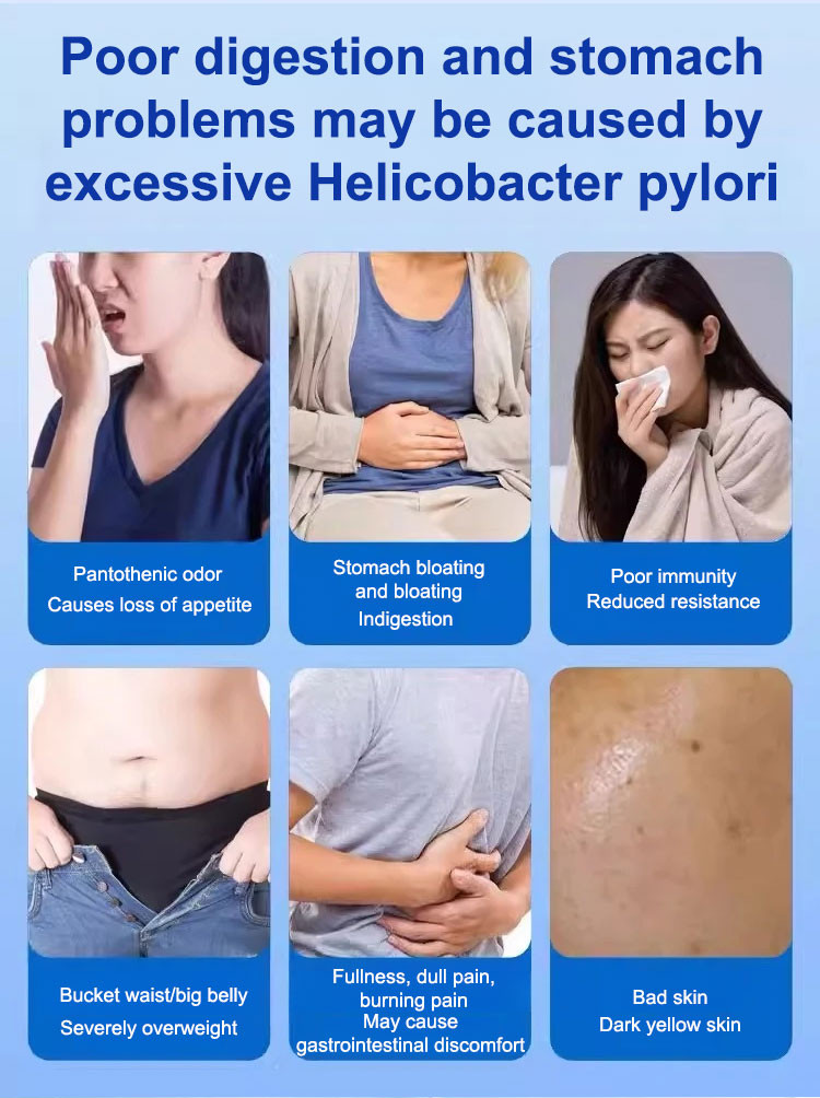 [Protect the stomach and intestines and remove bad breath] Probiotic ...
