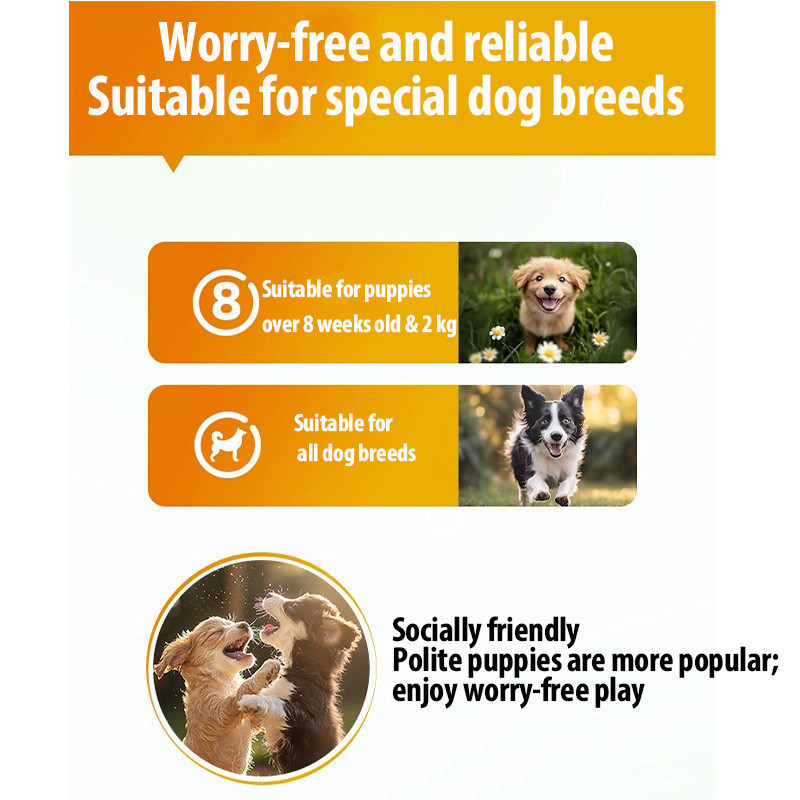 Frontpro Flea Tick Chewables for Dogs 2 - 50 Kg Beef Flavor 1 Tablet ...