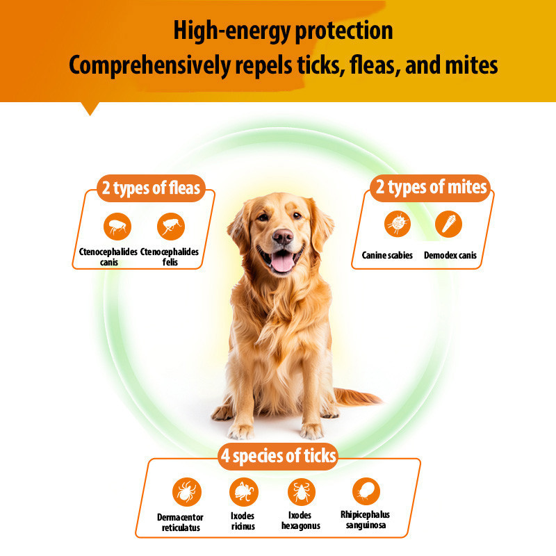 Frontpro Flea Tick Chewables for Dogs 2 - 50 Kg Beef Flavor 1 Tablet ...