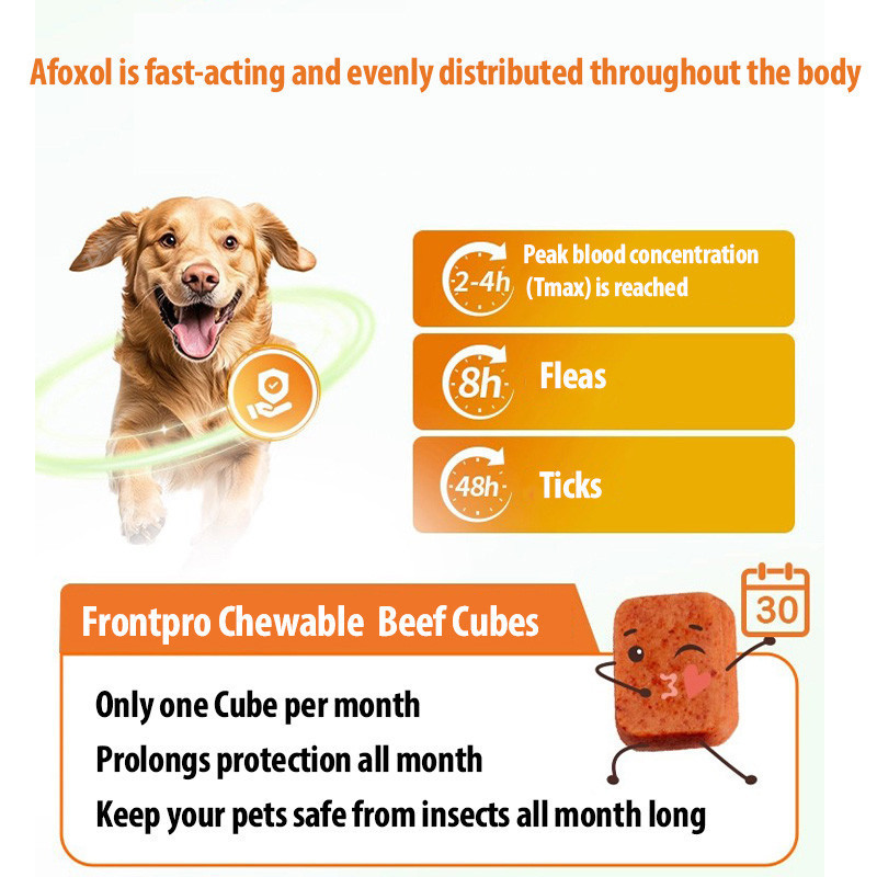Frontpro Flea Tick Chewables for Dogs 2 - 50 Kg Beef Flavor 1 Tablet ...