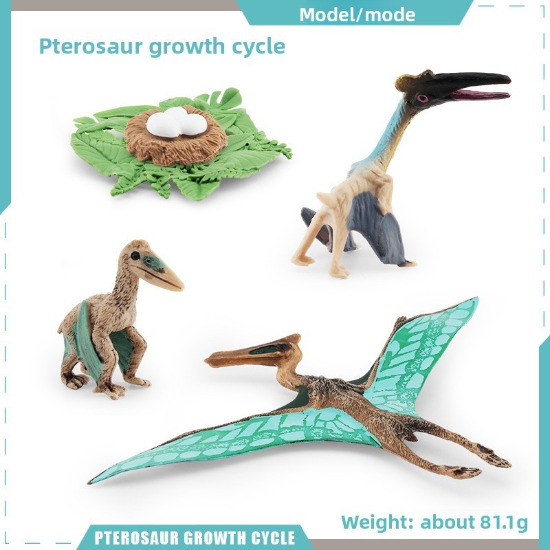 Rex Pterosaur T Life Cycle Model Pvc Educational Display For Children ...
