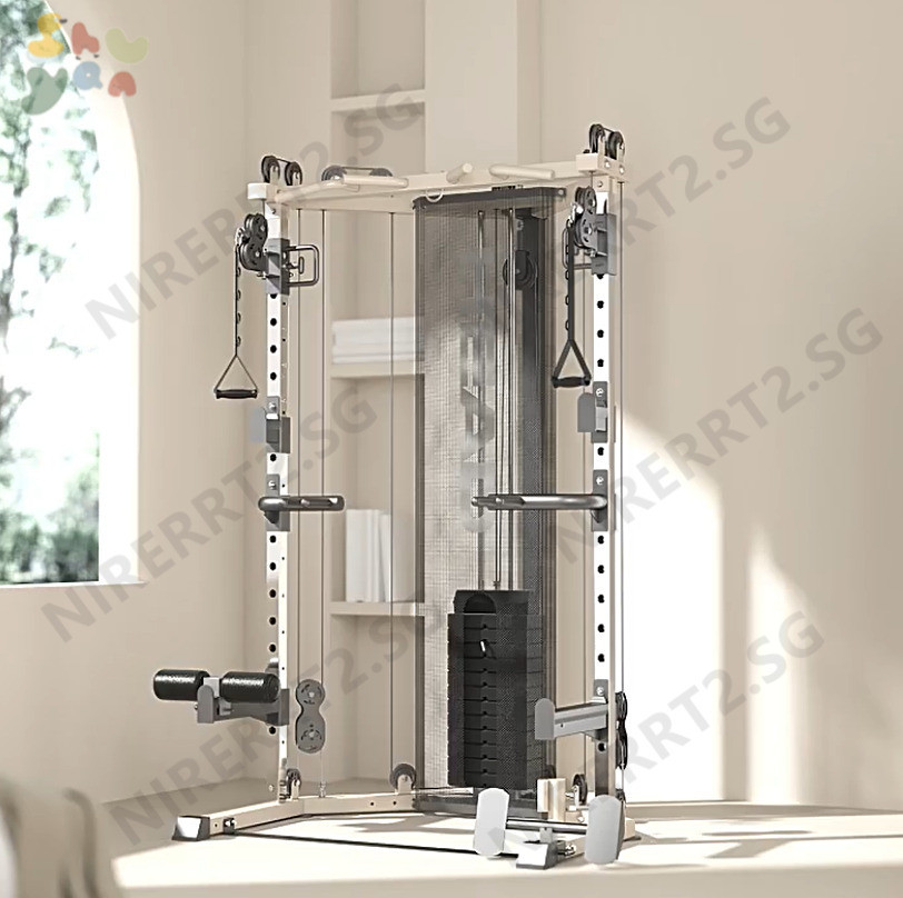 Hyde Little Flying Bird Smith Machine Multi-Functional Home Gym ...