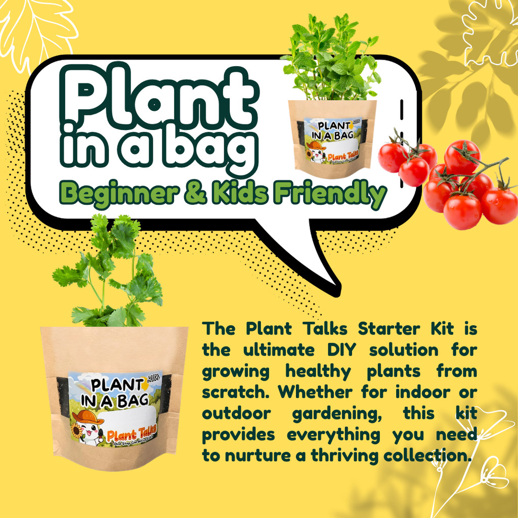 Plant Talks Plant Starter Kit DIY Kit Children's Day Plant Grow Herbs ...