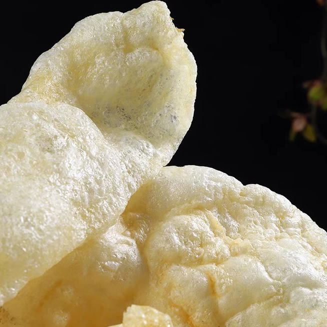 Oil-Free/Baked Fish Maw 100G | Shopee Singapore