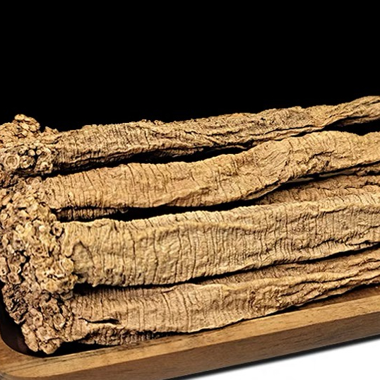 Dang Shen/Codonopsis Root 党参 100G | Shopee Singapore