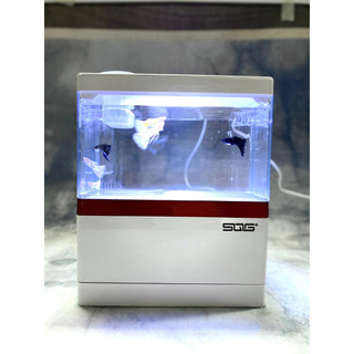 *Ready stock*TABLE TOP FISH TANK RECTANGULAR SHAPED With Pump & Filter ...