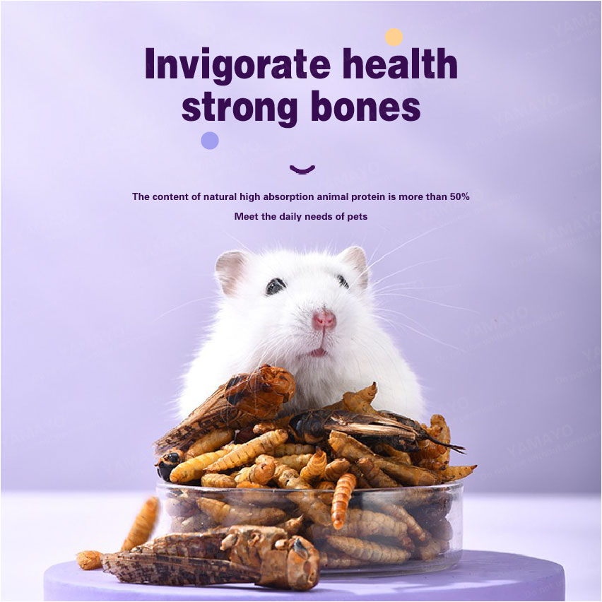 Hamster Strip Pack Wet / Dry Snack Treats Food || Nutrition Bar Various ...