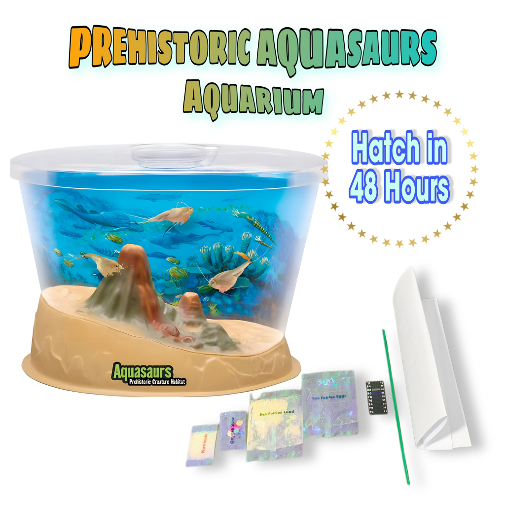 [SG] Science Egg Hatching Live, Prehistoric Sea Creature Habitat W Egg ...