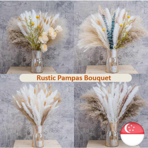 (SG) Dried Pampas Bouquet Bunny Tail Dried Flowers Hari Raya Jumbo ...