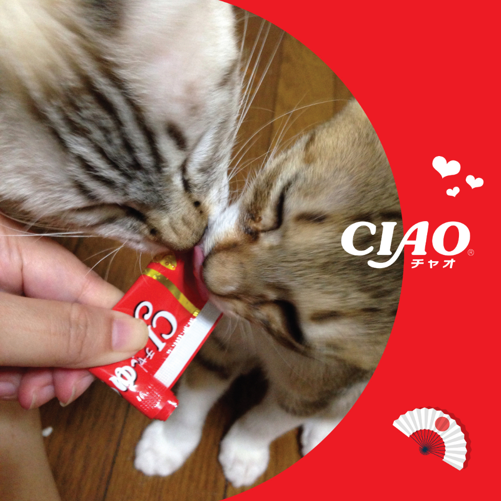 Ciao Toromi Line Pouches Chicken Fillet Cat Treats (35g x 4's) | Meal Cat Topper, Meow, Tuna Cat ...