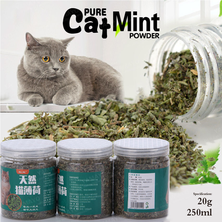 Spin Catnip Balls Molar Ball || Cat Chew Toys Cat Products || Catnip ...