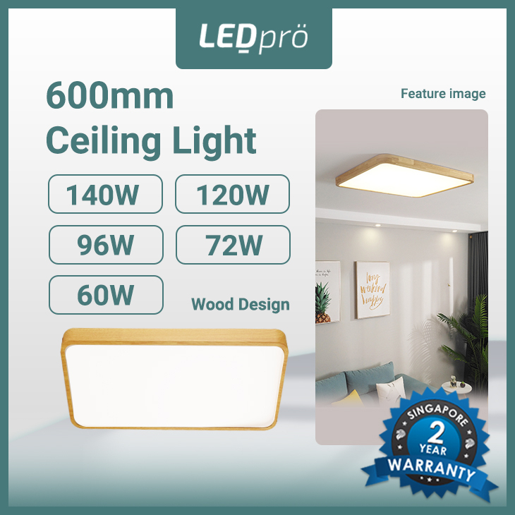 Rectangular Ceiling Light Singapore | Shelly Lighting