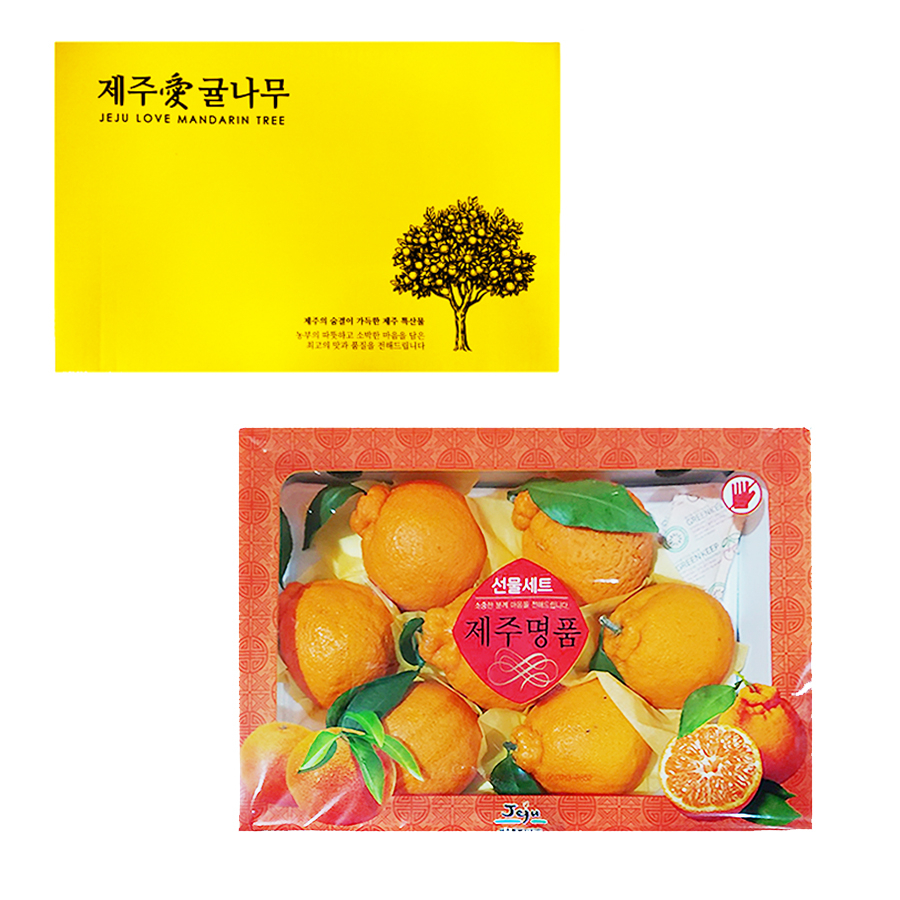 Jeju Hallabong Orange 3kg (8/9pcs) | Shopee Singapore