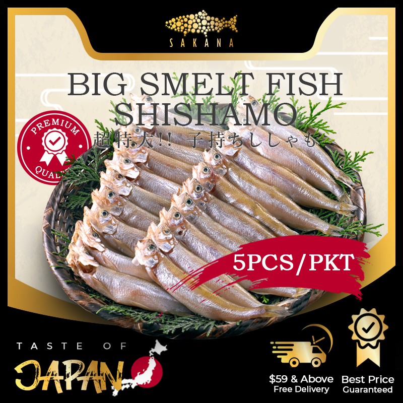 SAKANA | Japanese Extra Big Shishamo Smelt Fish Capelin 5PCS - 145G ...
