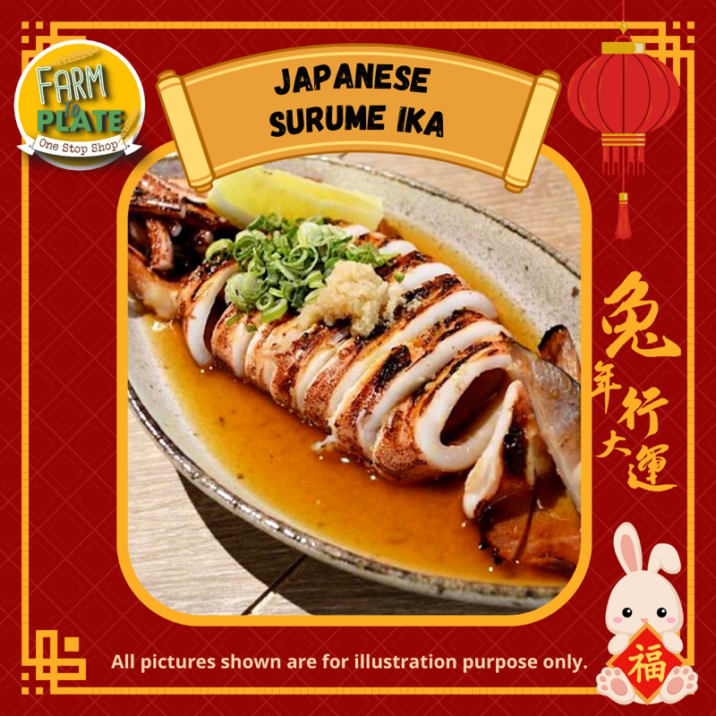 【FARM TO PLATE】Japanese Surume Ika Flying Squid 300g+/- / Frozen ...