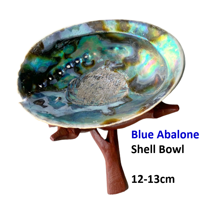 [Local Stock] Blue Abalone Shell Bowl for Smudging Sage Palo Santo ...