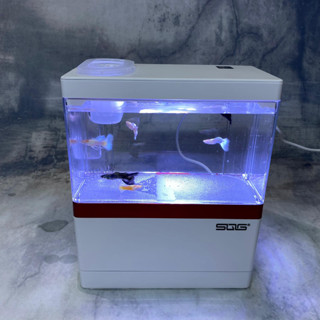 *Ready stock*TABLE TOP FISH TANK RECTANGULAR SHAPED With Pump & Filter ...