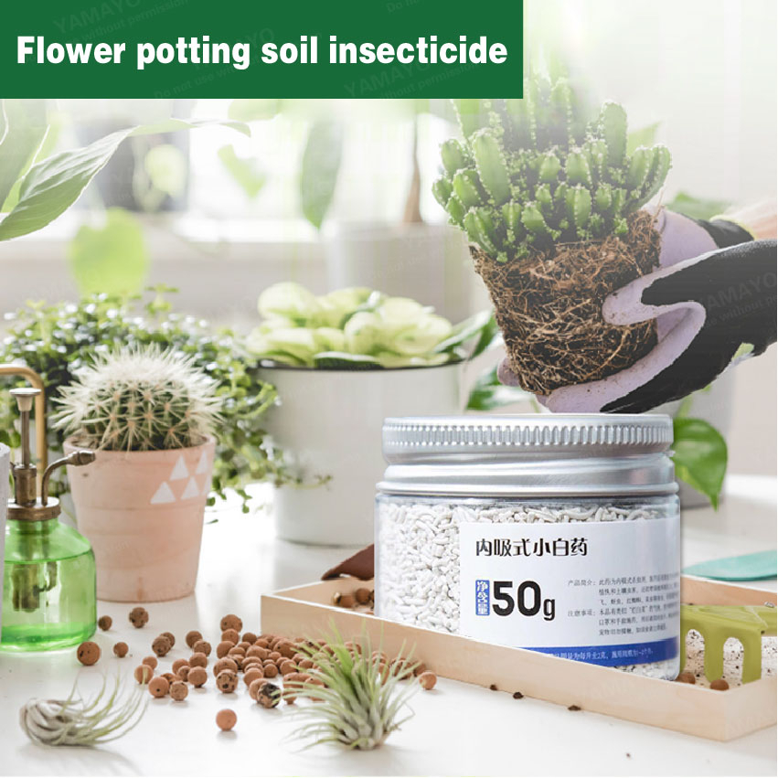 Flower Potting Soil Insecticide || Succulent Green Plant Odourless ...