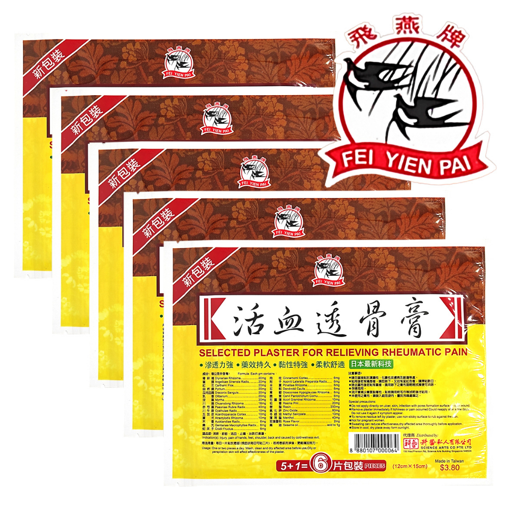 Fei Yien Pai Selected Plaster For Relieving Rhematic Pain (6 Pcs ...